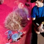 Alice Springs Desert Park General Entry Ticket - Practical Aspects: Facilities, Timing, and Cost