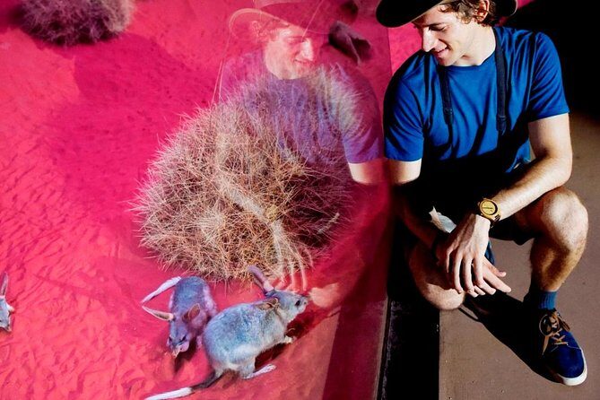 Alice Springs Desert Park General Entry Ticket - Practical Aspects: Facilities, Timing, and Cost