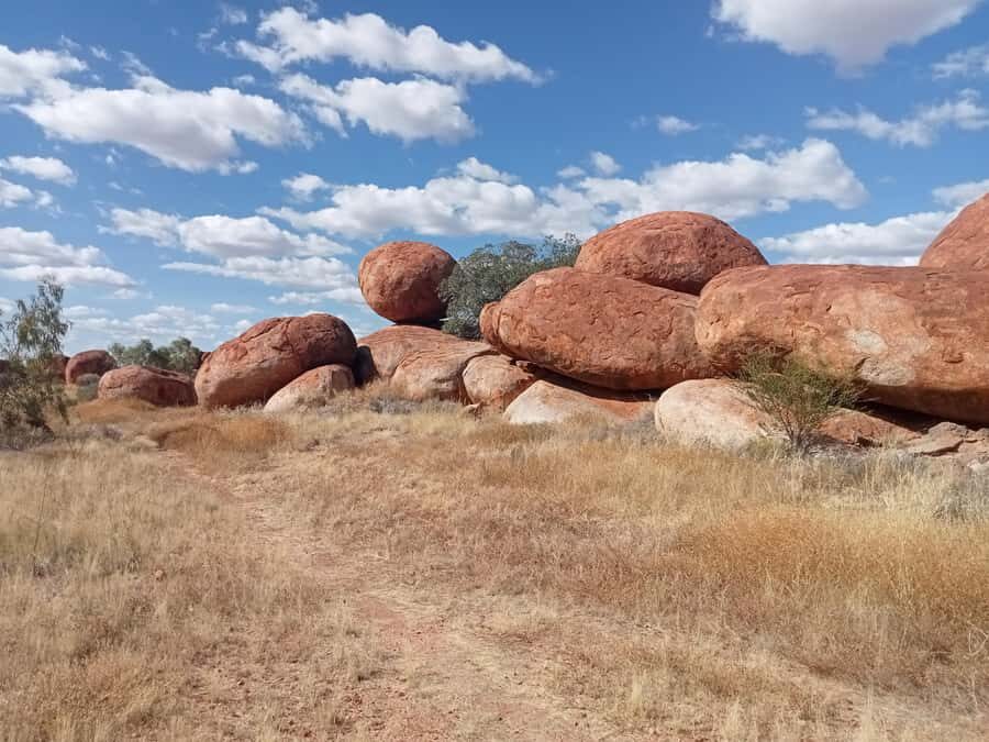 Alice Springs: Personalized Tour in the Northern Territory - What to Expect on the Tour
