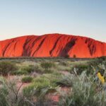 Alice Springs to Ayers Rock (Uluru) One Way Shuttle - Transport and Group Size