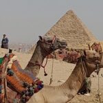 All exclusive Giza Pyramids with Camel ride - Who Will Love This Tour?