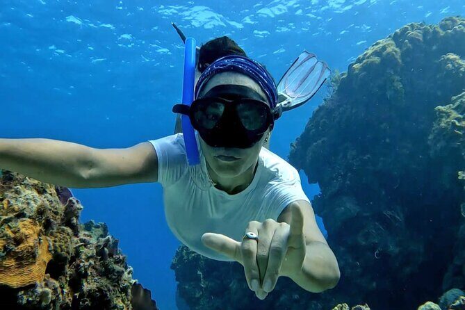 All Inclusive 4 Hour Private 42 ft Catamaran Tour in Riviera Maya - The Experience at a Glance