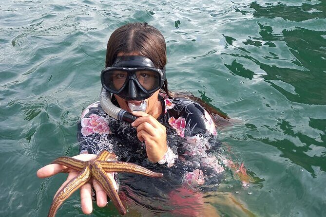 All-inclusive Colomitos cruise and Animas beach snorkeling - Real traveler insights