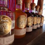 All-inclusive entrance to Palm Beach in Cozumel - Who Will Love This Tour?