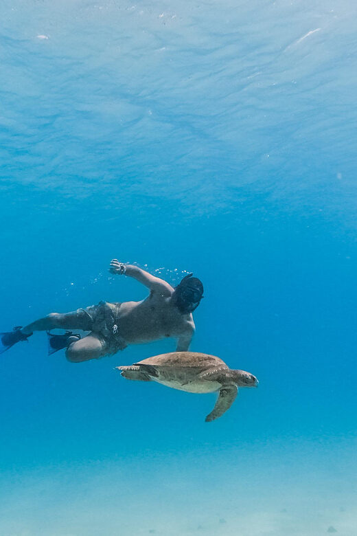 All-inclusive Snorkel in Balandras Hidden beaches, La Paz - The Logistics: Timing, Transportation, and Group Size