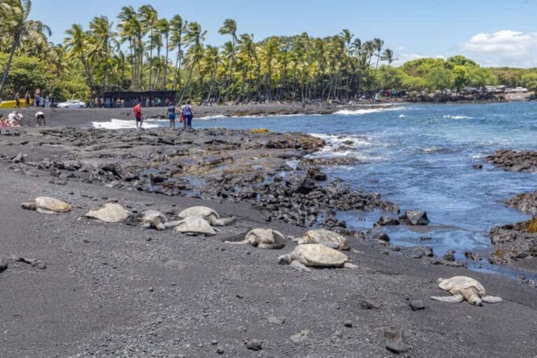 All-Inclusive: Volcanoes, Lava Tube & Black Sand Beach Tour - Practical Details and Logistics