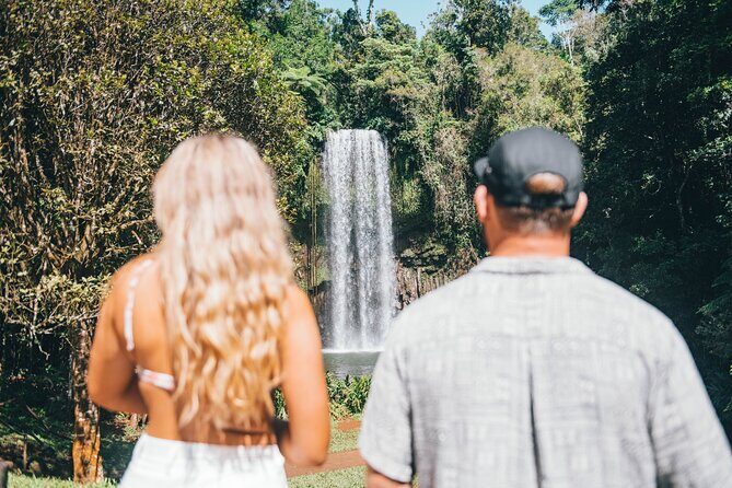 All Inclusive Waterfalls and Rainforest Tour from Cairns - Exploring the Atherton Tablelands