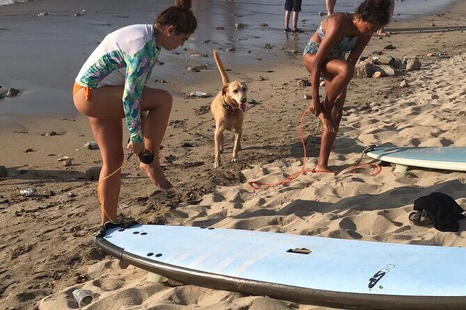 Almar Surf & Skate School: Surflessons in Bahia de Banderas - What’s Included and What to Consider