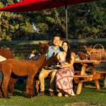 Alpaca Picnic Experience in Oregon - Authentic Experiences from Reviews