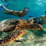Amazing Adventure in Akumal. Swim with turtles and discover Tulum Ruins. - Who Should Consider This Tour?