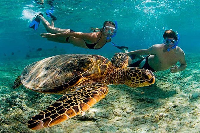 Amazing Adventure in Akumal. Swim with turtles and discover Tulum Ruins. - Who Should Consider This Tour?
