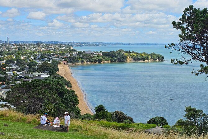 Amazing Auckland City Half Day Guided Tour - What We Loved About This Tour