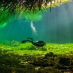 Amazing beginner dive in Tulum cenote (or refresher dive) - Detailed Breakdown of the Experience