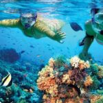 Amazing Isla Mujeres Tour with snorkeling, lunch and Open Bar - What’s Included and What’s Not