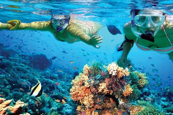 Amazing Isla Mujeres Tour with snorkeling, lunch and Open Bar - What’s Included and What’s Not