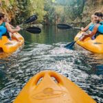 Amazing Mayan Tour Xenotes from Cancun - Is This Tour Worth the Price?