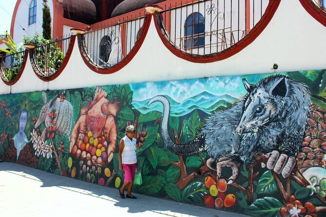 Amazing Mountain Coffee Private Experience - What’s Included & What’s Not