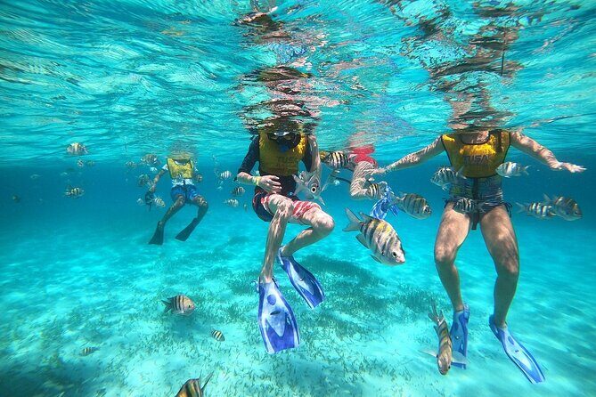 Amazing Snorkel Adventure! Round Transportation From Cancun - Why This Tour Works for Different Types of Travelers
