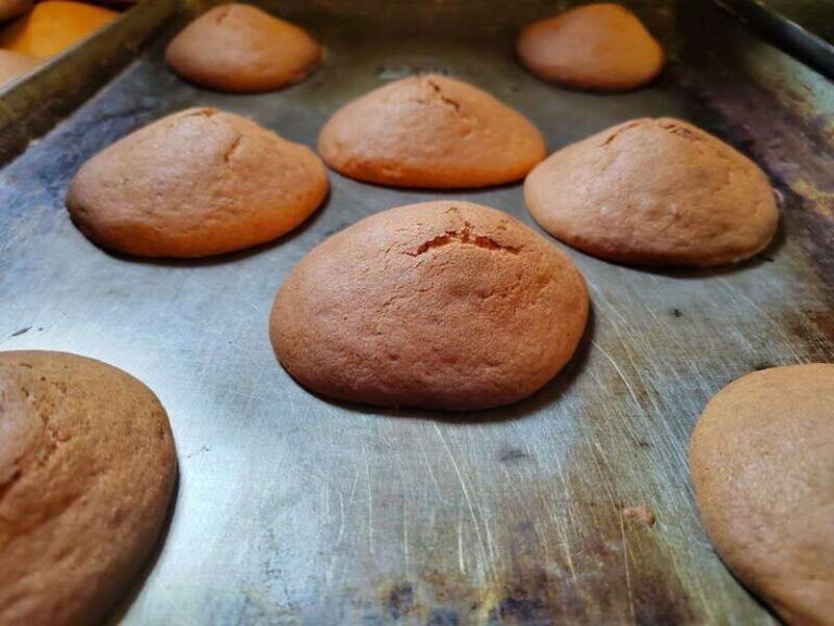 Amealco: Doll workshop and cookie and pulque tasting - Who Will Enjoy This Tour?