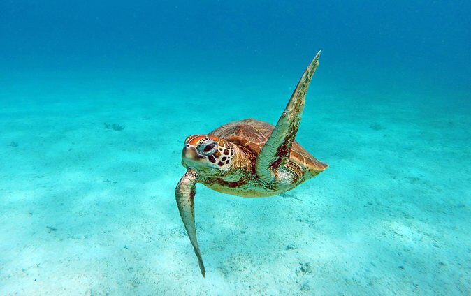 Amedee Lighthouse - Detailed Breakdown of the Itinerary