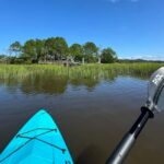 Amelia Island: Paddle Board or Kayak Rental - PADL Island - What to Expect from Your Paddling Adventure