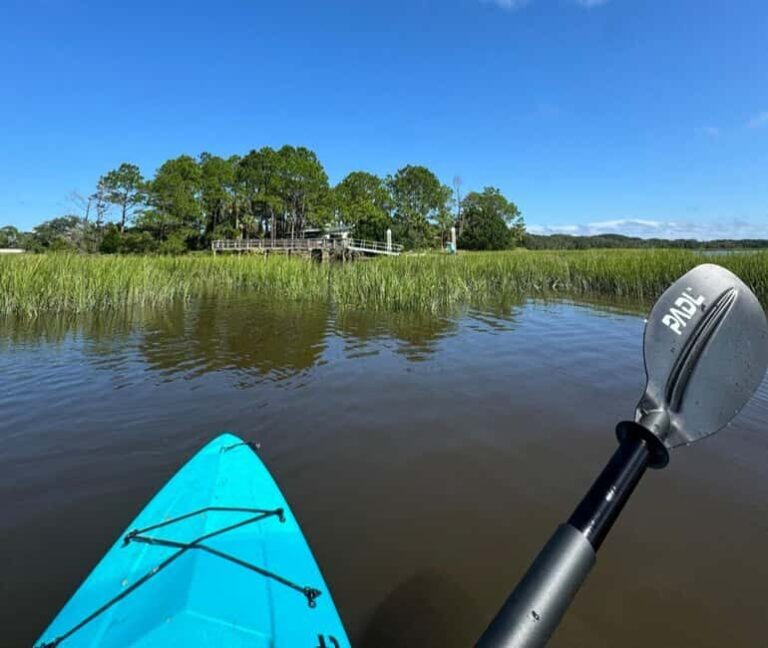 Amelia Island: Paddle Board or Kayak Rental - PADL Island - What to Expect from Your Paddling Adventure