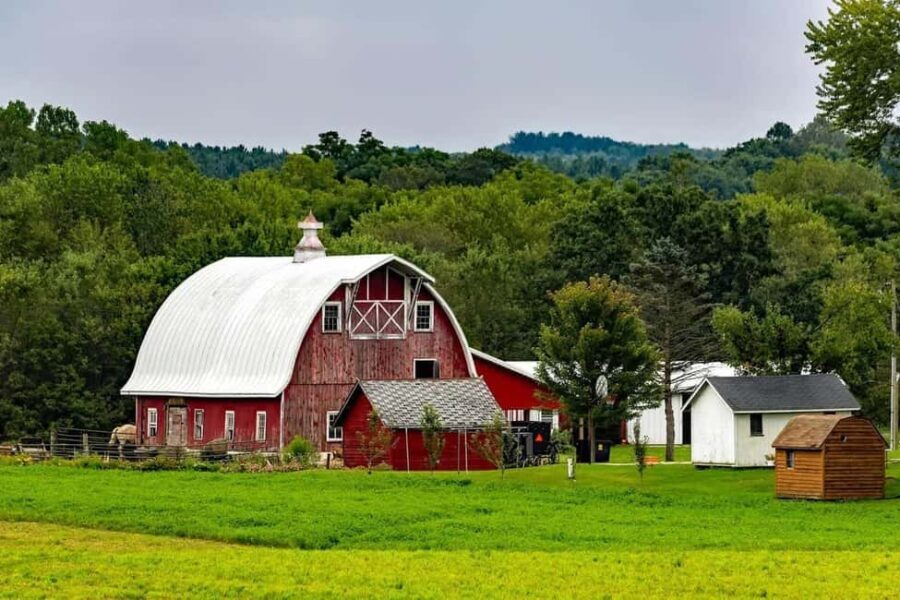 Amish Farm and House 1-Day Tour From Washington D.C. - Authentic Insights from Reviews