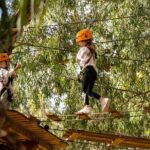 An exciting, Tree Top Adventure for Our Littlest Adventurers - What to Expect During Your Visit