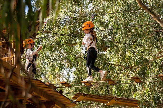 An exciting, Tree Top Adventure for Our Littlest Adventurers - What to Expect During Your Visit