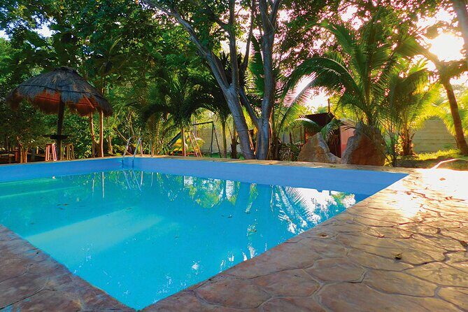 Ancestral Mayan Private Culinary Experience in Merida - Final Thoughts: Who Will Love This Experience?