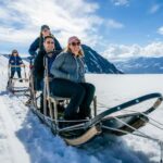 Anchorage Area: Helicopter and Glacier Dogsled Tour - The Full Experience Breakdown