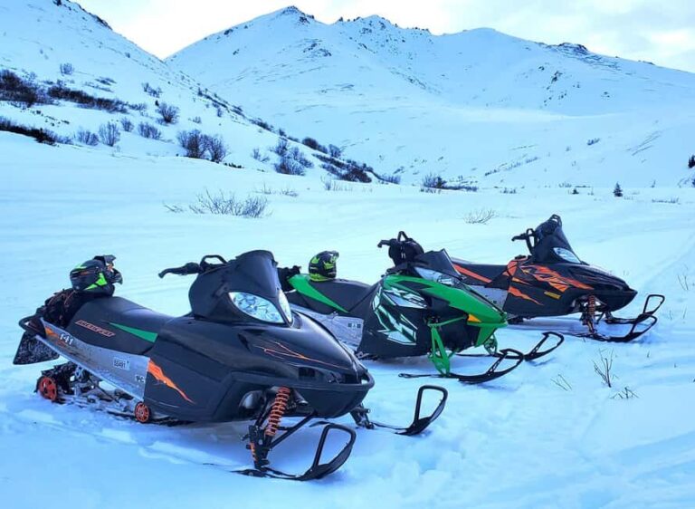 Anchorage: Snowmobile Adventure with Transportation - Included & Not Included