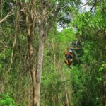 Ancient adventure, visit Tulum Ruins with ZIPLINES, a UNDERGROUND CENOTE &Buffet - A Deep Dive into the Tour Itinerary