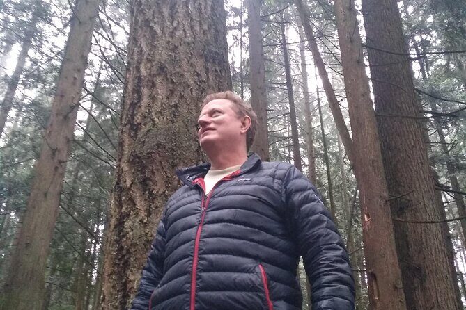 Ancient Forest , Waterfalls and Stunning Vistas Day Tour - Practical Details & Considerations