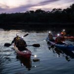 Anglesea: Night Kayaking Tour Under the Stars - Practical Details & Tips for Participants