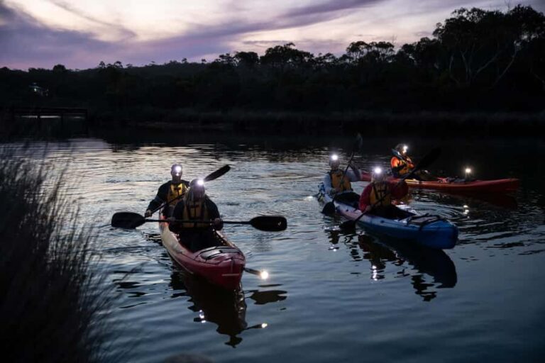 Anglesea: Night Kayaking Tour Under the Stars - Practical Details & Tips for Participants