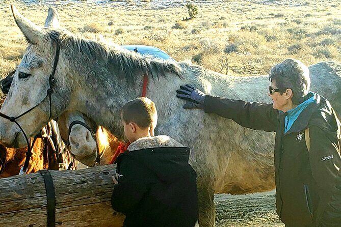 Animal Petting and Sunset Hike in Las Vegas - Authentic Insights from Reviewers