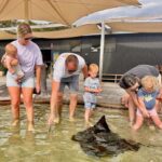 Anna Bay: Irukandji Entry Pass with Shallows Encounter - The Lagoons and Marine Encounters