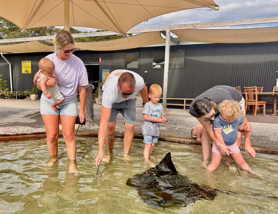 Anna Bay: Irukandji Entry Pass with Shallows Encounter - The Lagoons and Marine Encounters