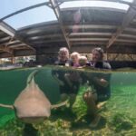Anna Bay: Irukandji Entry Pass with Zebra Shark Encounter - What Reviewers Say