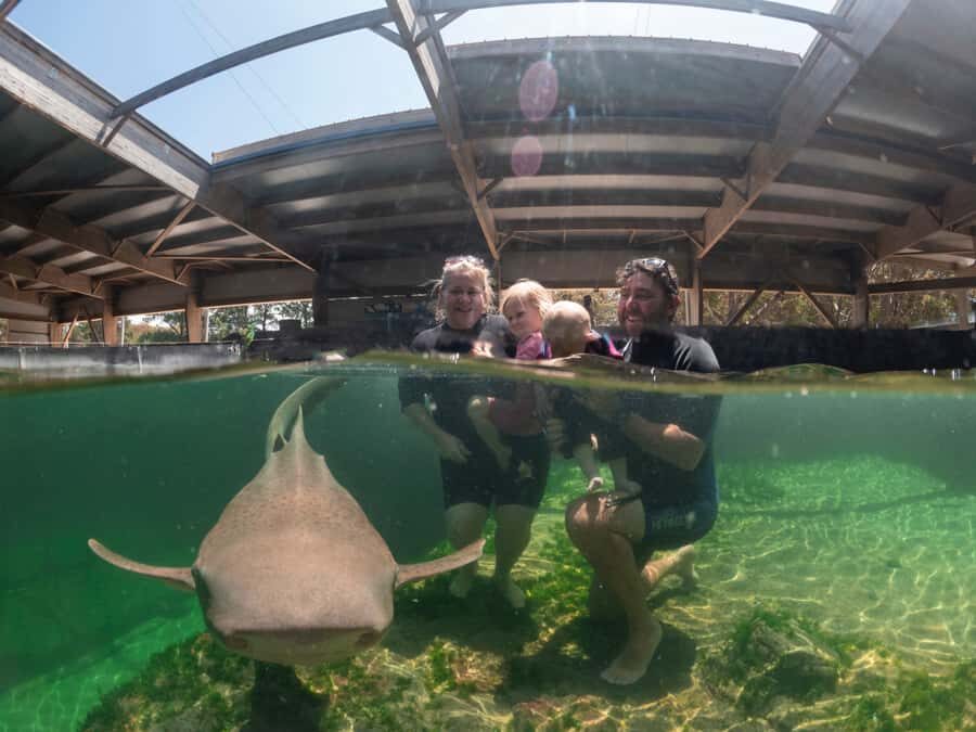Anna Bay: Irukandji Entry Pass with Zebra Shark Encounter - What Reviewers Say