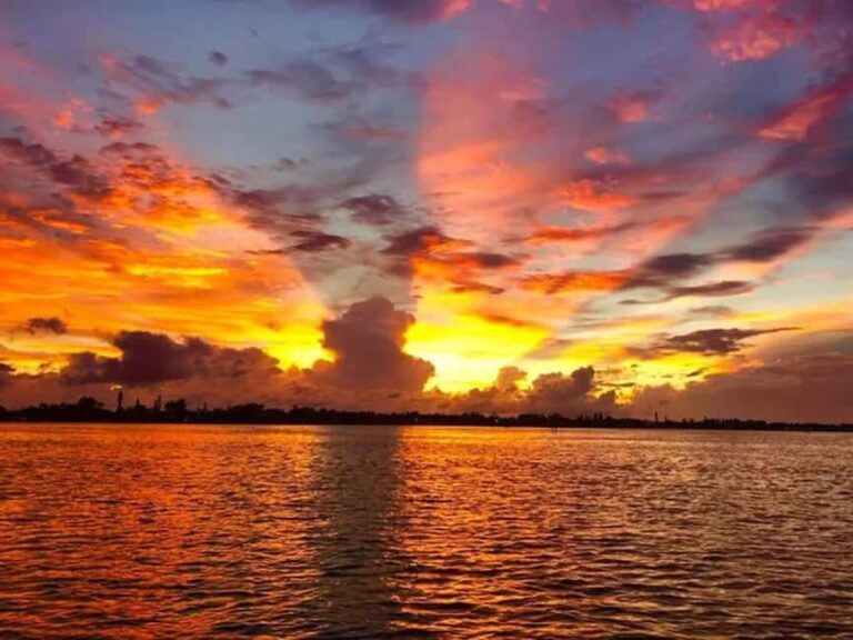 Anna Maria Island: Sunset Dolphin Cruise - The Sum Up