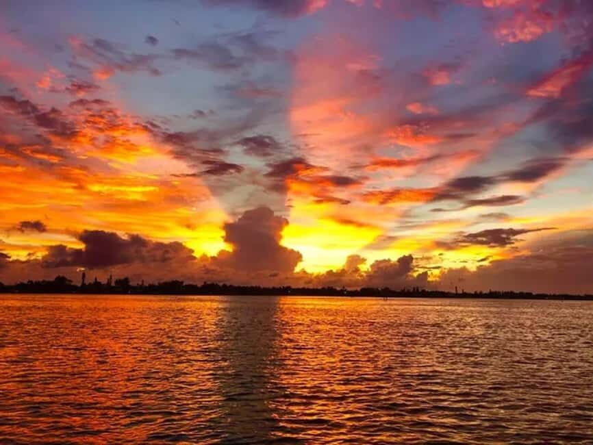 Anna Maria Island: Sunset Dolphin Cruise - The Sum Up