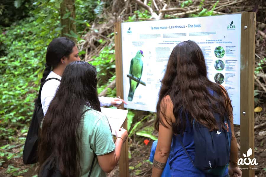 AOA Polynesian Forests - Educational Forest and Scavenger Hunt, Tahiti, West Coast - The Botanical & Wildlife Highlights