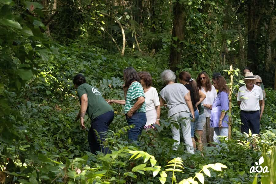 AOA Polynesian Forests - Tahiti Biodiversity Sanctuary Hike - The Guides Make the Difference