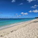 Apia Port: Cruise Guests Shore Excursion - Convenience and Comfort Starting Point