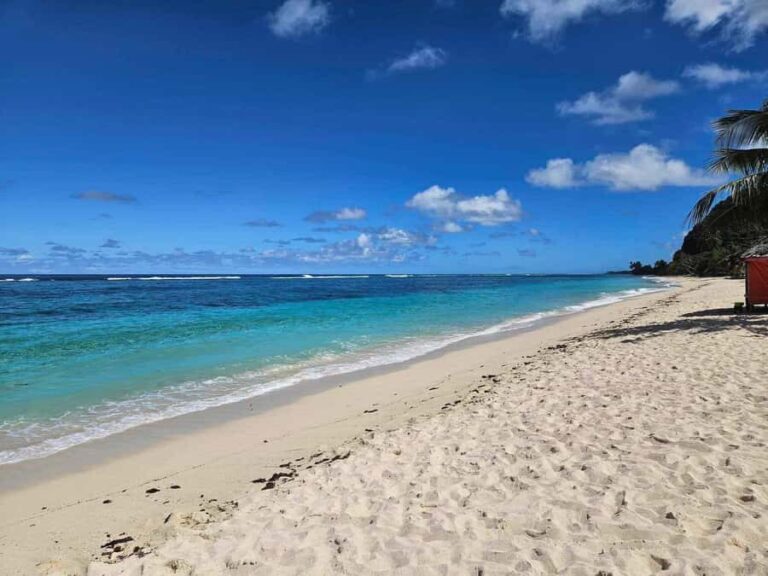 Apia Port: Cruise Guests Shore Excursion - Convenience and Comfort Starting Point