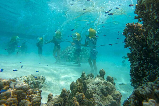 Aquablue Moorea - The Experience’s Value: Price and Photography