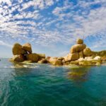 Aquascene Circumnavigation Magnetic Island Tour - The Itinerary and What to Expect