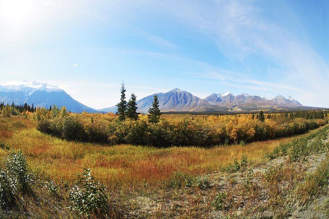 Arctic Day: Kluane National Park Tour | full day - The Experience: What Travelers Say